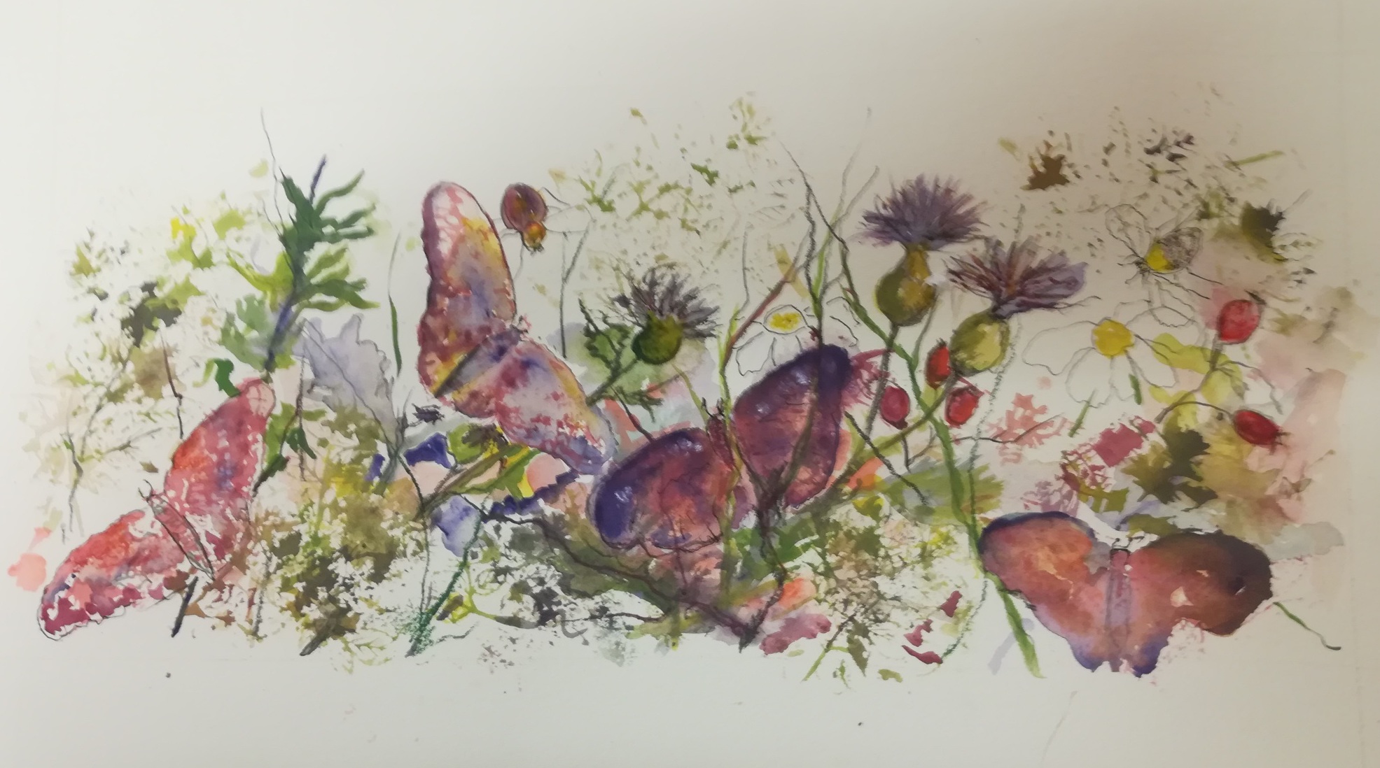 IMG_20200205_163014_1_resized_20200205_061143800.jpg | Gail Hurst